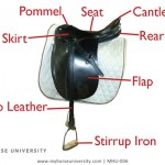 Saddle parts